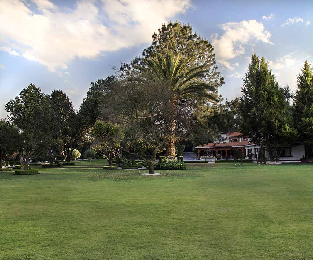 Nosotros – Finca Mexicana