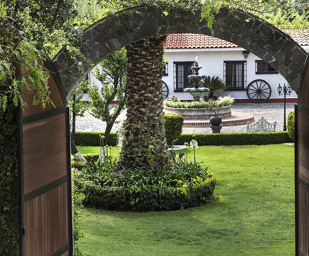 Nosotros – Finca Mexicana