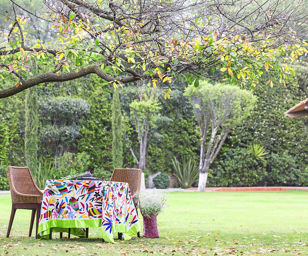 Nosotros – Finca Mexicana