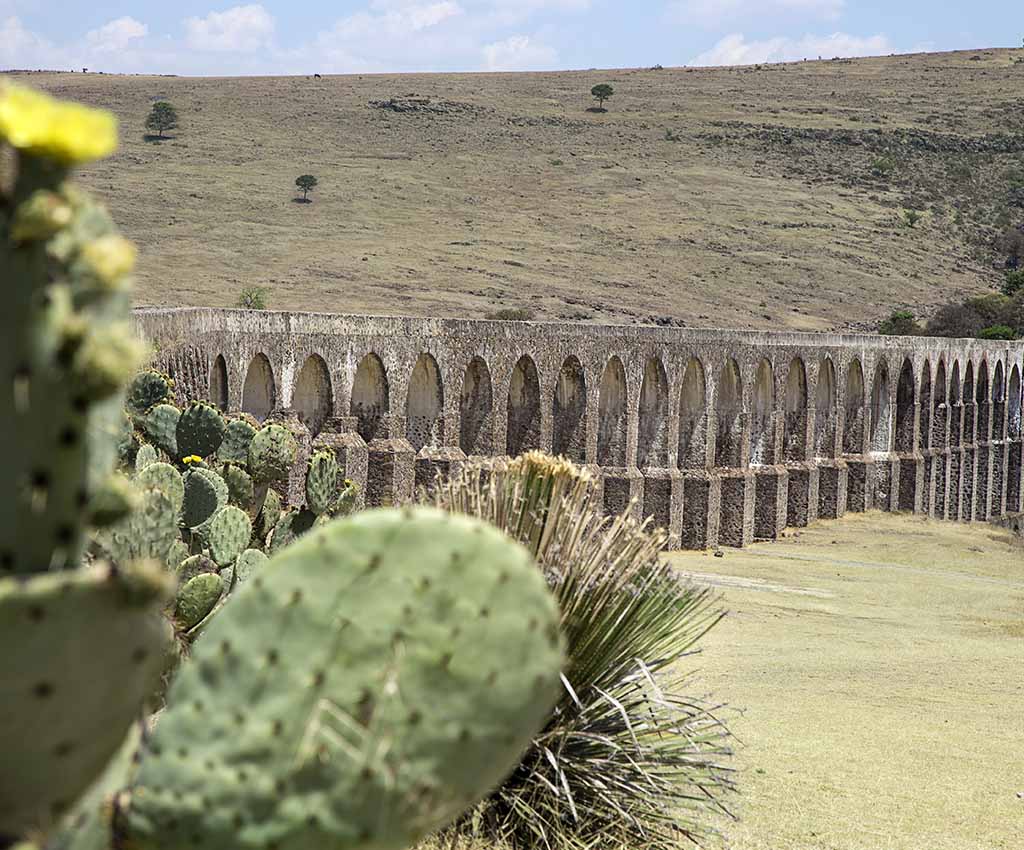 Nosotros – Finca Mexicana